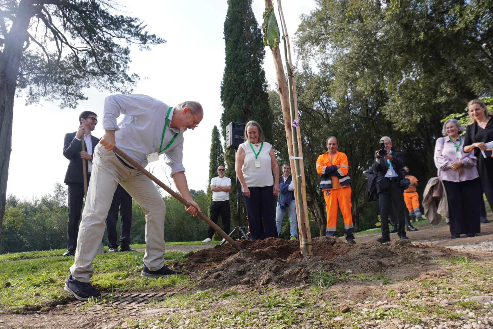 Roma, in quattro anni tagliati quasi 30mila alberi ma piantati oltre ...